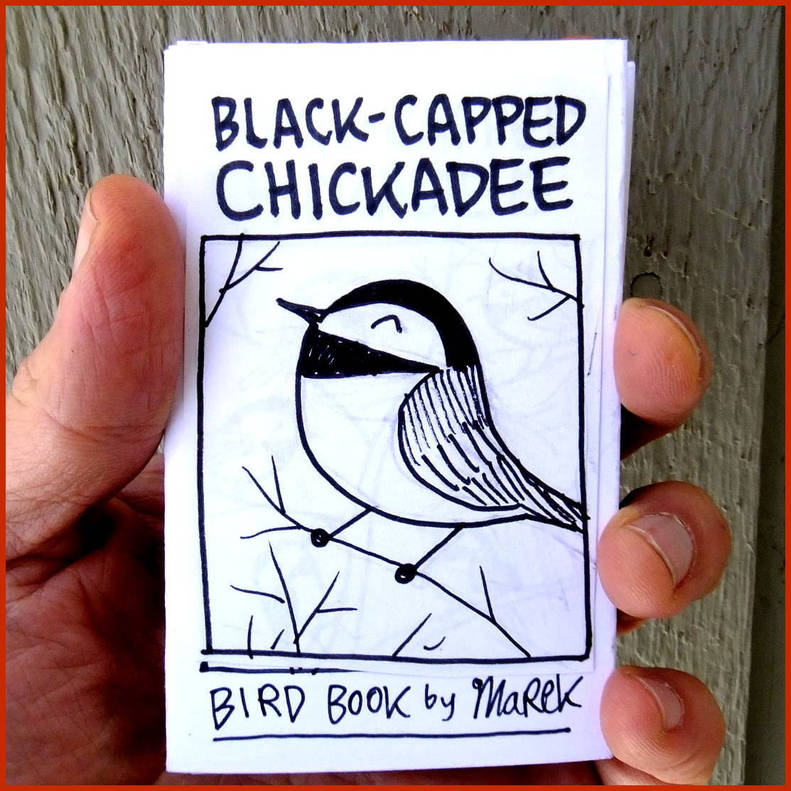 “Black-Capped Chickadee” (Bird Book Mini) – www.MarekBennett.com