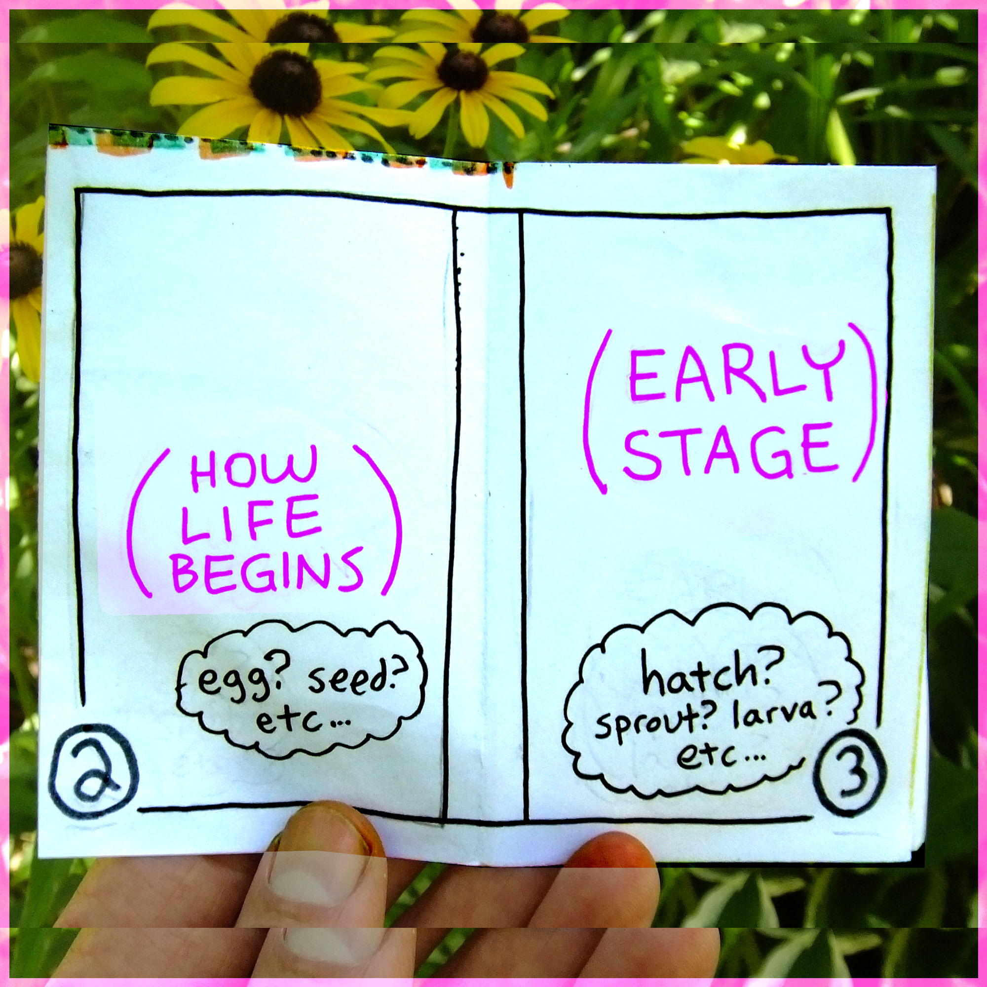 Life Cycle Comics (8p Template) – www.MarekBennett.com