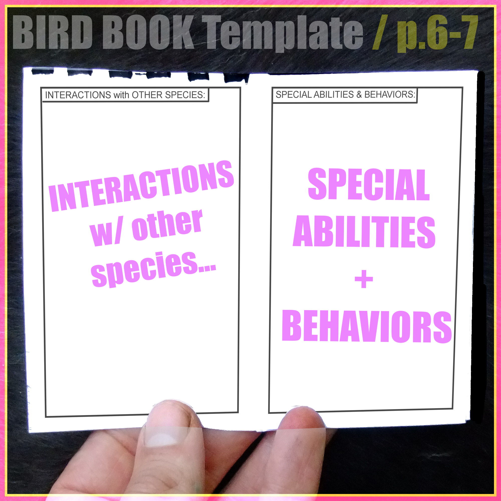 BIRD BOOKS 🐥 (8p Template) – www.MarekBennett.com