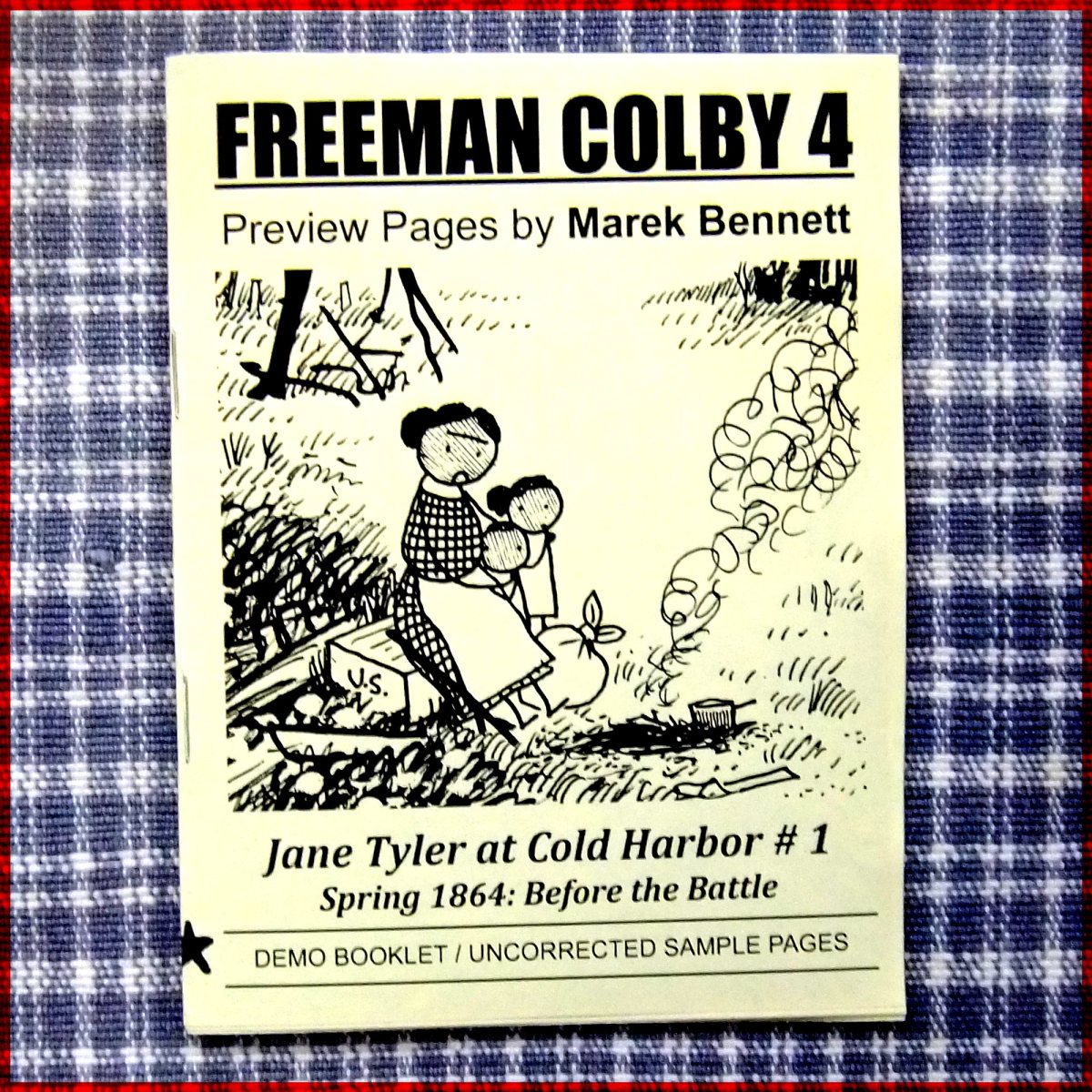 The Civil War Diary of Freeman Colby (Graphic Novel Series) – www ...
